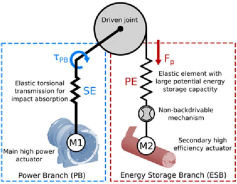Figure 1 From Development And Control Of A Compliant Asymmetric Antagonistic Actuator For Energy