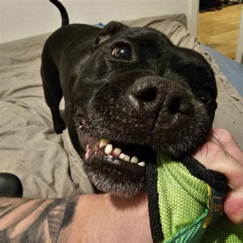 Some Action Shots Of Reckless R Galaxys23ultra