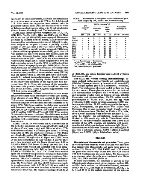 Characterization Of Candida Albicans Cell Wall Antigens With Monoclonal