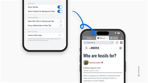 Vivaldi 6 9 On Ios Desktop Style Tabs Improvements And Finer Control Of The Address Field