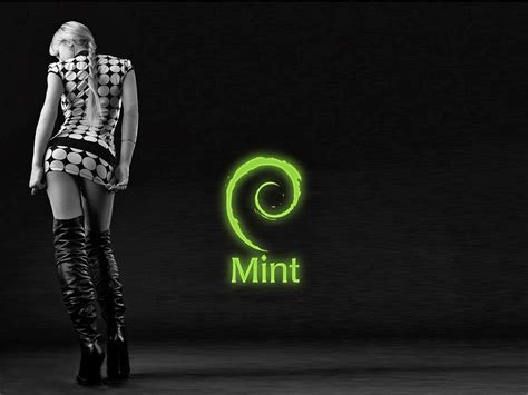 Linux Mint Wallpaper Hd Wallpapersafari