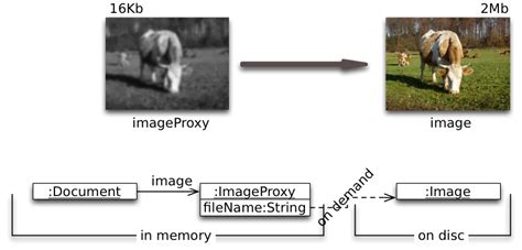 Dp Proxy Lazyimage Solution