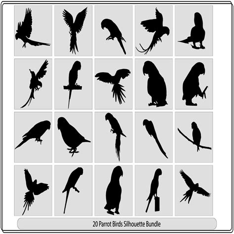Parrot Silhouette