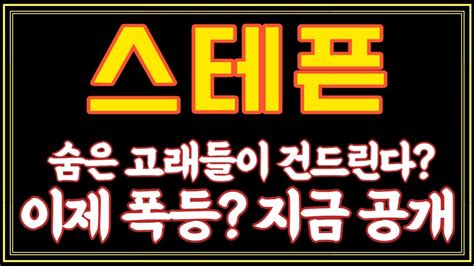 스테픈 세력포착 세력은 여기까지 올린다고 합니다 스테픈코인스테픈코인전망스테픈코인분석스테픈목표가스테픈전망
