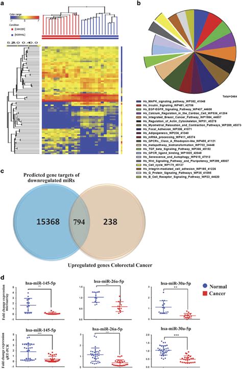 Rna Expression Profiling In Crc A Hierarchical Clustering Of 13