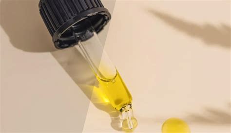 5 Ways How Ashwagandha Can Help You In Hair Re Growth