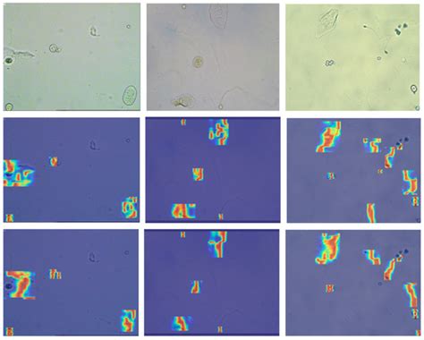 Fl Yolov8 Lightweight Object Detector Based On Feature Fusion
