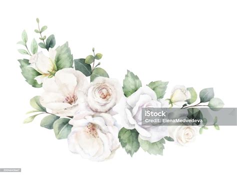 수채화 벡터 꽃 화 환입니다 흰 장미와 녹지 유칼립투스 가지 결혼식 문구 인사말 월페이퍼 패션 패브릭 가정 장식에 적합합니다 손으로 그린 그림입니다 꽃 식물에 대한 스톡