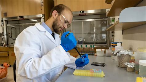 New Technique Fast Tracks Optogenetics Work College Of Engineering