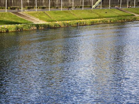 Close Up Of Riverside And River Stock Image Image Of Lake Closeup