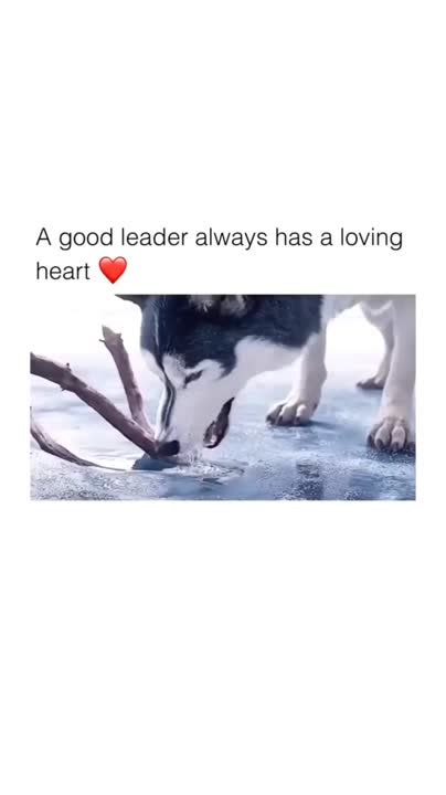 Video Khushi Patil On Linkedin Leadership Development Growth
