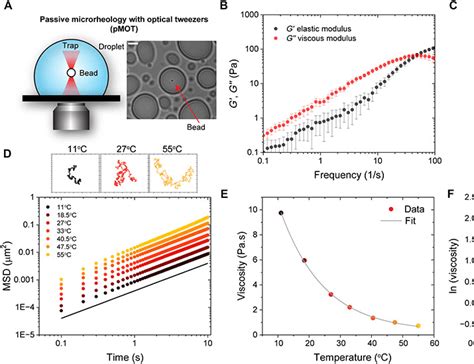 Determinants Of Viscoelasticity And Flow Activation Energy In Biomolecular Condensates Science