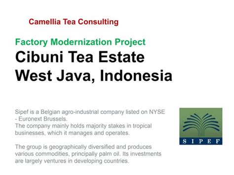 Tea Manufacturing Process Detailed Flow Chart Pptx