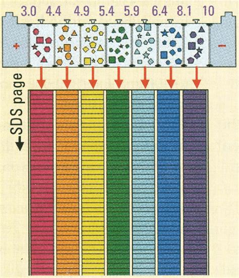 Schematic Diagram Of A 2 D Method Interfacing Mce Fractions With