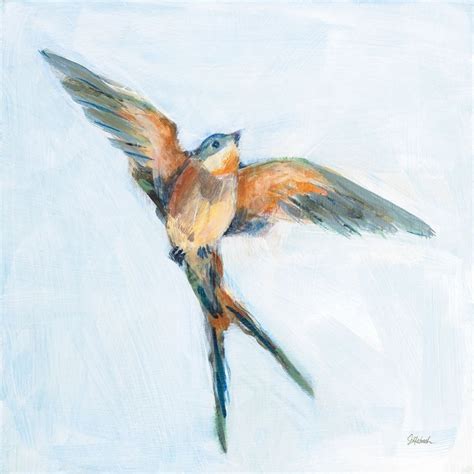 Somerset House Images Barn Swallow Flight I