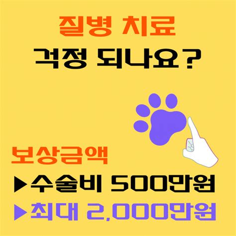 웰시코기 특징 성격 크기 분양가 알아보기