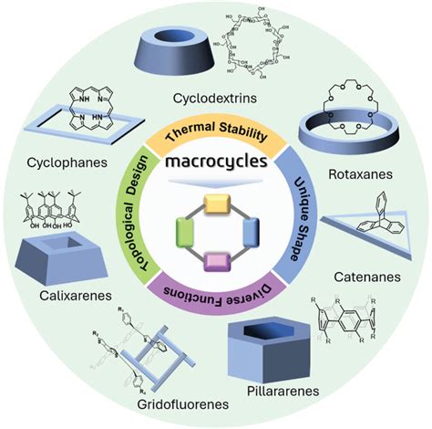 Characteristics And Categories Of Macrocycles Download Scientific