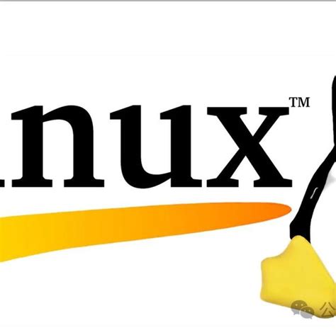 Linux 快速入门教程与最新学习路线指南 知乎