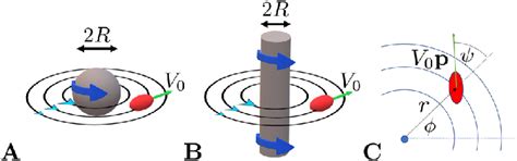 Illustration Of The Model Swimmer In A 3d Rotlet Flow Ie The Flow Download Scientific