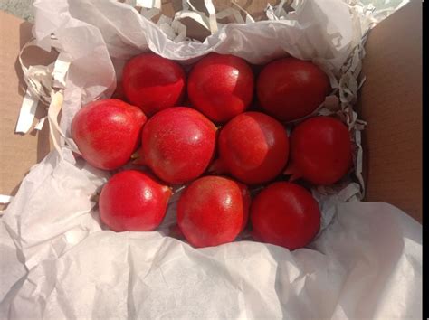 Akshay Mane On Linkedin Seedstomarket Dehaat Farmplus Fnv Sourcing Operations