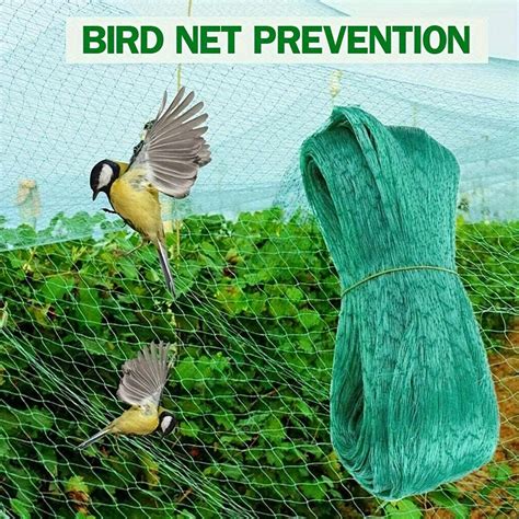 Forestry 1 Pack Garden Bird Net Was Sold For 2000 On 1 Jan At 23