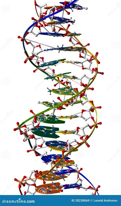 Macromolecule Cartoons Illustrations And Vector Stock Images 6328