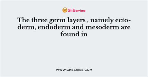 The Three Germ Layers Namely Ectoderm Endoderm And Mesoderm Are Found In