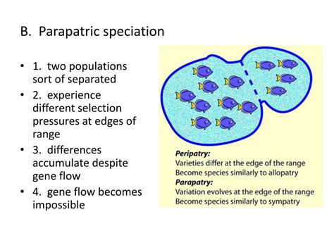 Ppt Speciation Powerpoint Presentation Free Download Id 6918905