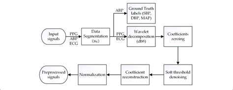 Raw Signals Preprocessing Pipeline Download Scientific Diagram