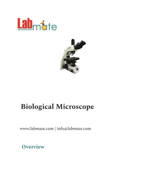 Ppt Biological Microscope Powerpoint Presentation Free Download Id Ppt Biological Microscope Powerpoint Presentation Free Download Id