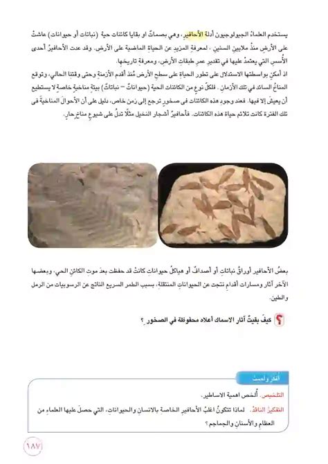 كيف بقيت آثار الأسماك أعلاه محفوظة في الصخور؟ صدى العميد نشأة الأرض