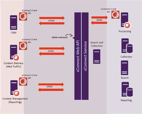 Top Sitecore Features In Version For Enhanced Digital CMS