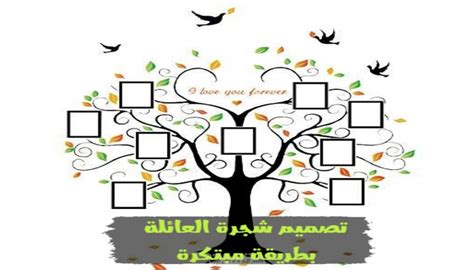 تصميم شجرة العائلة بطريقة مبتكرة خمسات