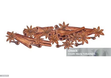 계피 스틱 스타 아니스 정향 흰색 배경에 분리된 수채화 그림 초대장 카드 패키지 디자인 광고 포스터 라벨 디자인 세트 가을에