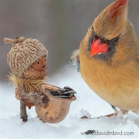 Becorns Democratic Underground Forums