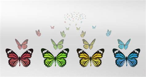 Chromatography Essentials For Perfect Separations