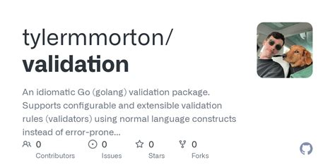 Github Tylermmortonvalidation An Idiomatic Go Golang Validation