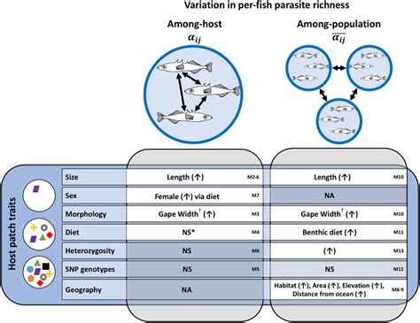 Of Inferences At The Among‐host And Among‐population Scales Indicating