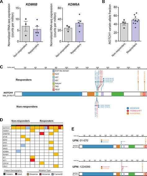 Kdm6b Protects T All Cells From Notch1 Induced Oncogenic Stress Pmc