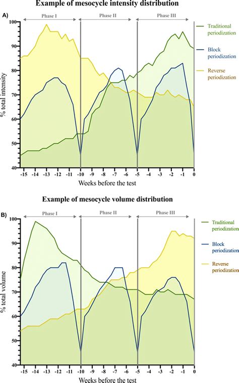 Example Of Mesocycle Distribution Of Traditional Periodization Block