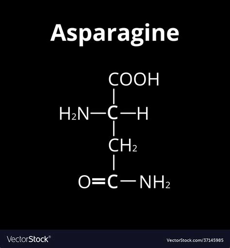 Asparagine Structure Structure And Properties Of 20 Standard Amino