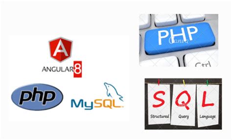 Do Crud Web App With Php Angular And Mysql By Newtona Fiverr