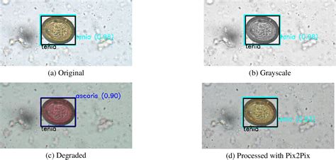 Figure 3 From Detection Of Parasitic Eggs From Microscopy Images And The Emergence Of A New