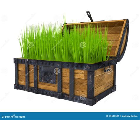 Old Chest Filled With Green Grass Stock Image Image Of Metal