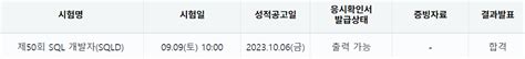 sql 개발자 sqld 합격 후기 팁