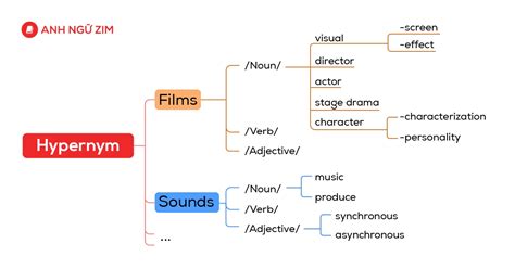What Is Hypernym And Its Application In Vocabulary Learning For Ielts