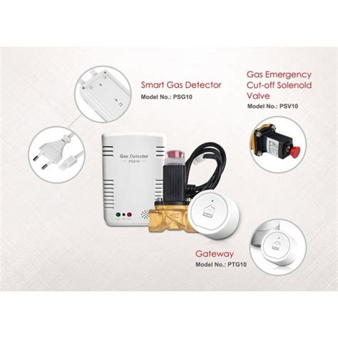 Detektor Za Gas POER PSG10 WIFI Coex