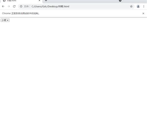 selenium操作指南，2w字超全总结 selenium库使用 csdn博客