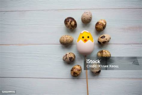 나무 배경에 장난감 닭고기와 메추라기 계란 상단보기 부활절 개념입니다 텍스트의 공백 복사 0명에 대한 스톡 사진 및 기타 이미지