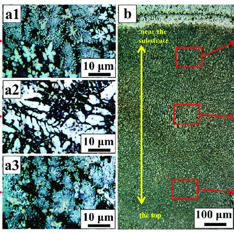 Effect Of Cooling Rate On The Microstructure Of Ni 18 Nb 15 Alloy Download Scientific Diagram